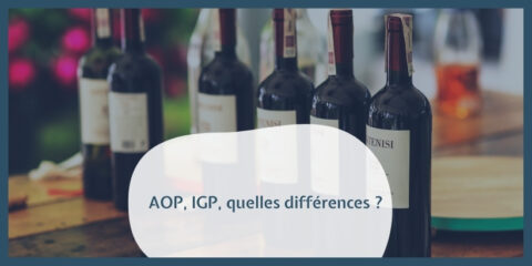 AOP, IGP, quelles différences ? Labels du Monde & France ⋆ geoVINUM